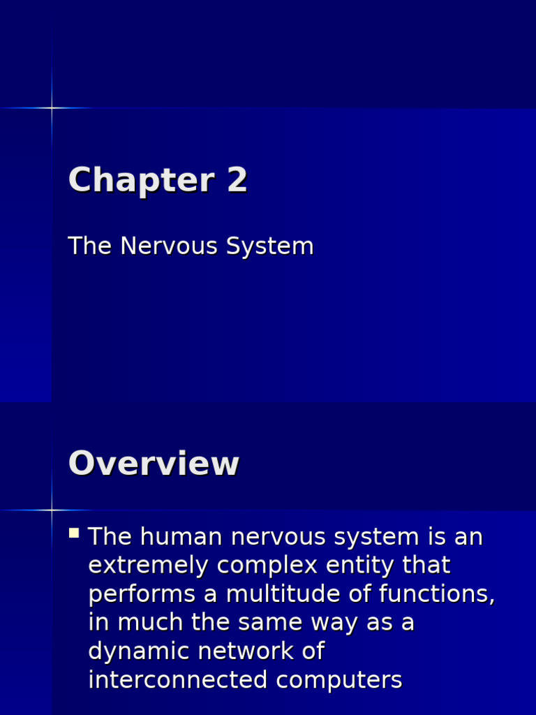 Dutton Chapter02 The Nervous System | PDF