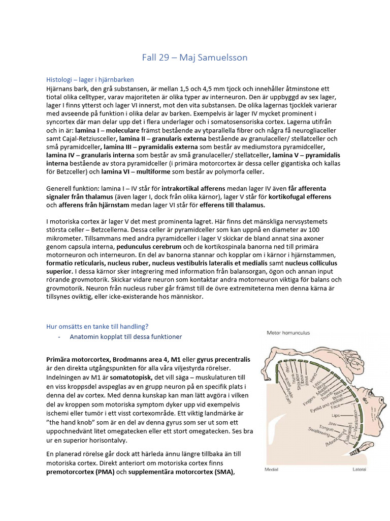 Fall 29 - Maj Samuelsson | PDF