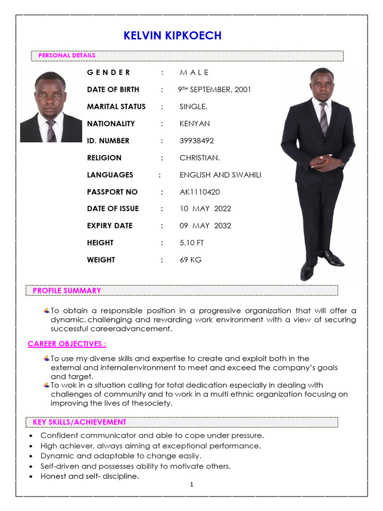 CV Example | PDF