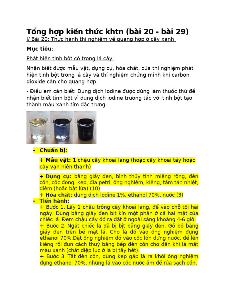 Tổng hợp kiến thức khtn | PDF