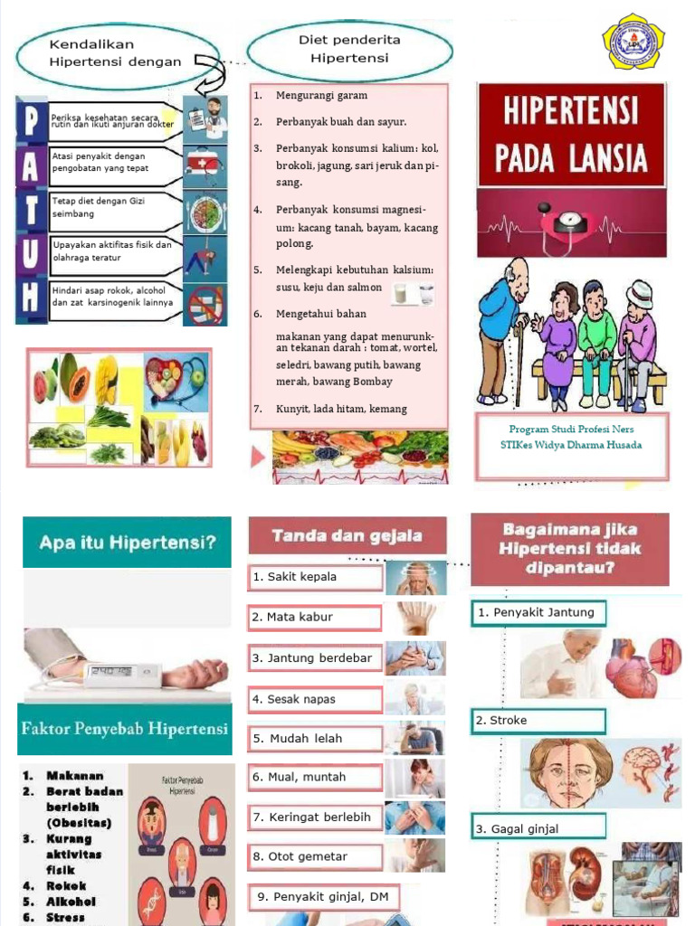 Leaflet Hipertensi Lansia | PDF