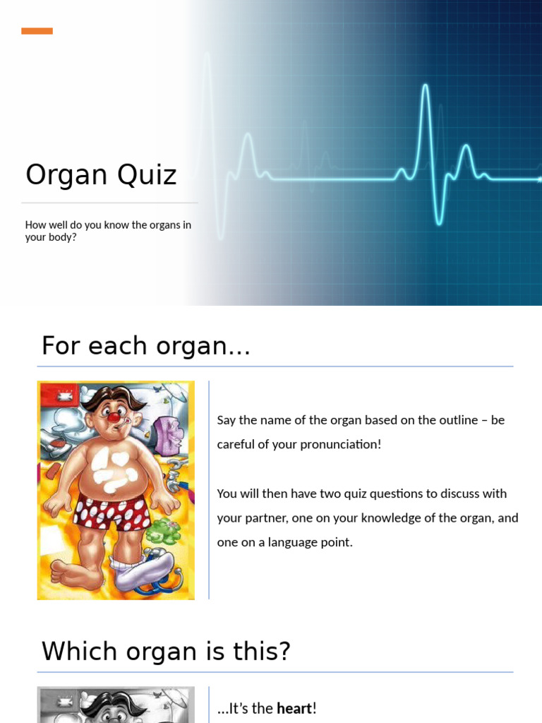 OPERATION Style Quiz | PDF