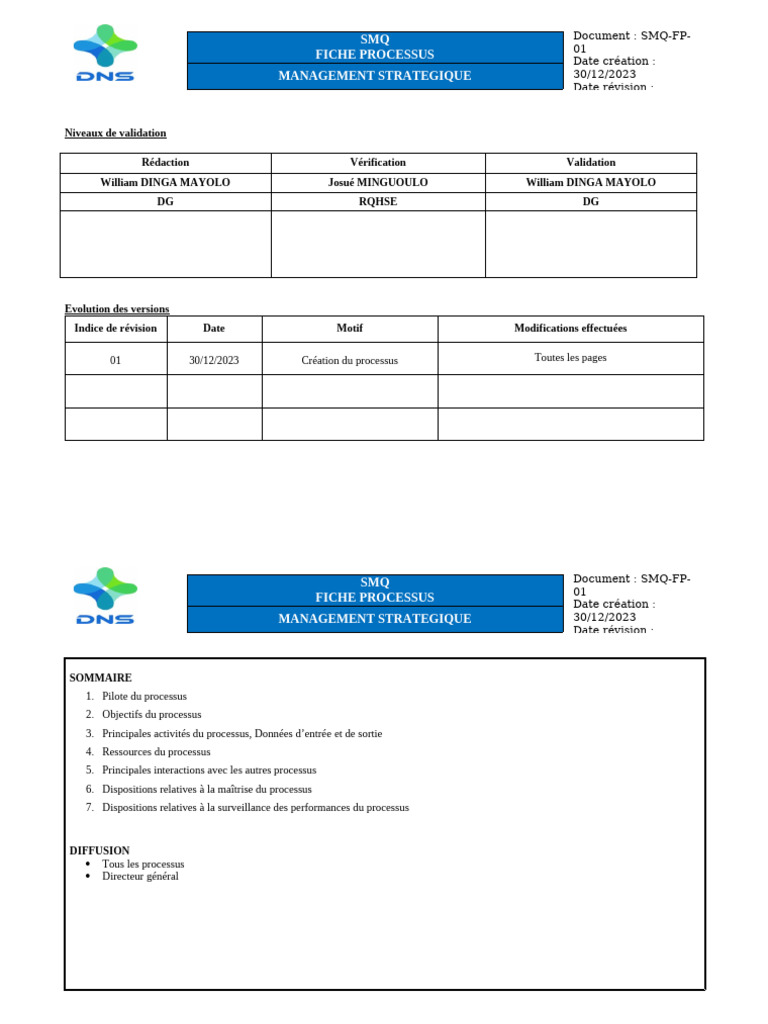 SMQ-FP-01-Rev - 01 - Fiche Processus - Management - Stratégique | PDF