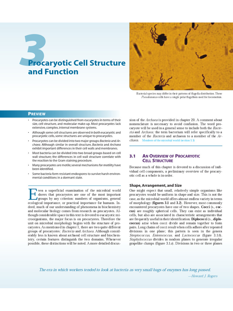 Procaryotic Cell Structure Prescott | PDF
