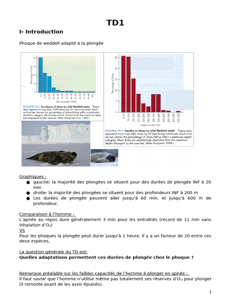 TD1 Respiration | PDF