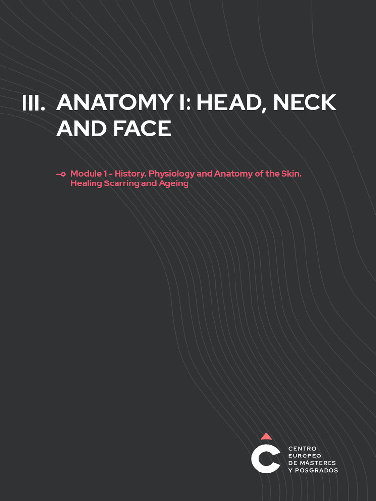 Anatomy of Face, Neck, Ear | PDF