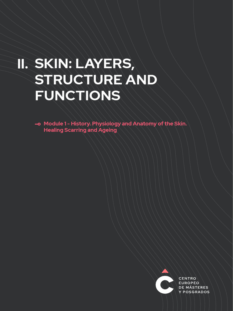 Skin | PDF