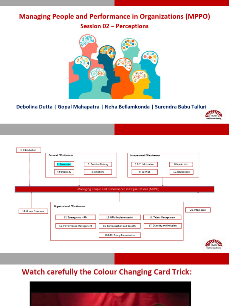 Session 2 MPPO Perception_Sept 2024 | PDF
