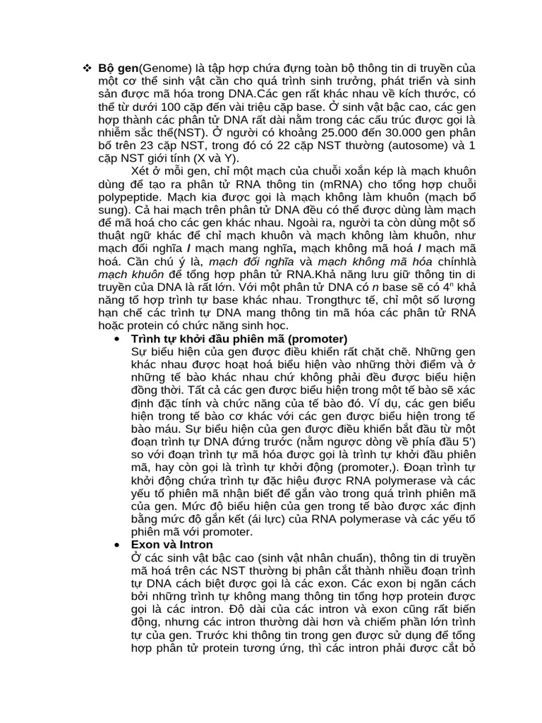 B Gen | PDF