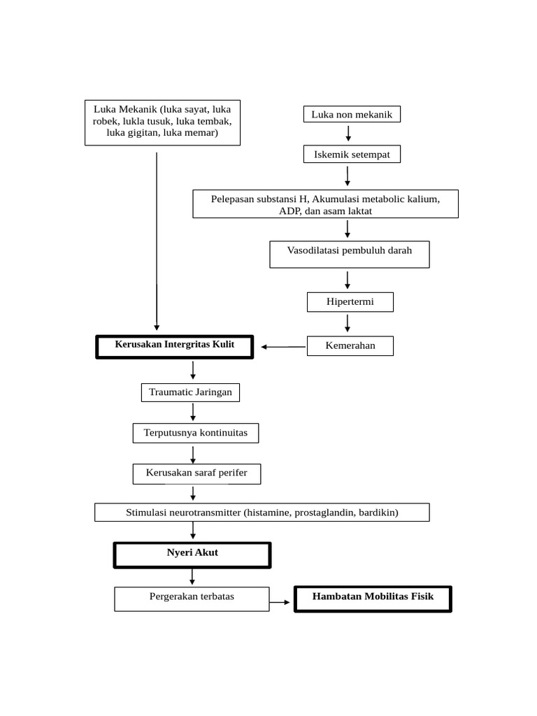 Pathway Kulit | PDF