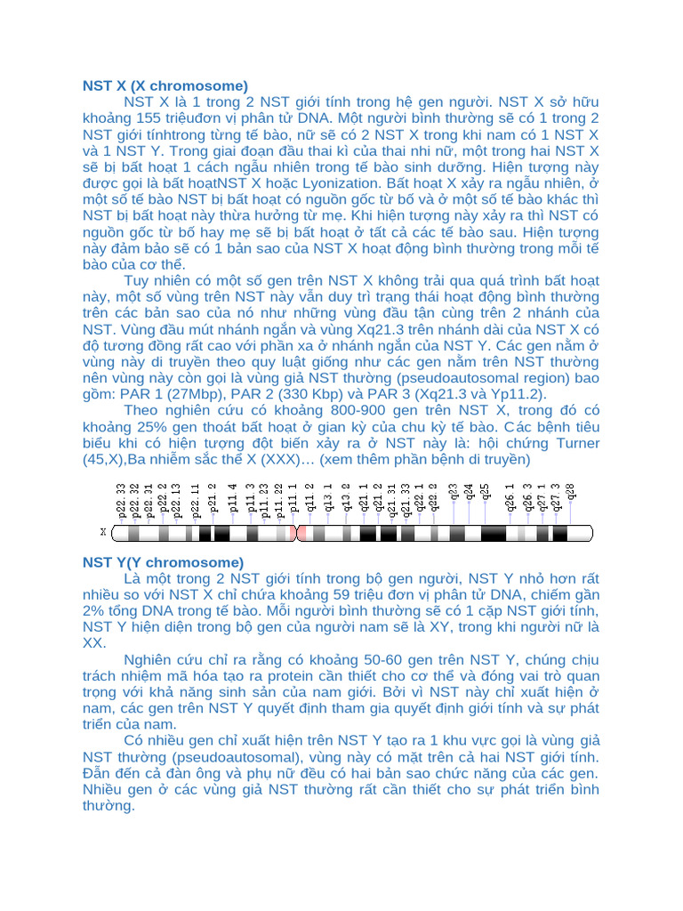 NST X | PDF