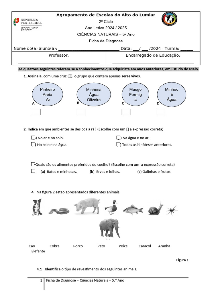 CN5_FichaDiagnose | PDF