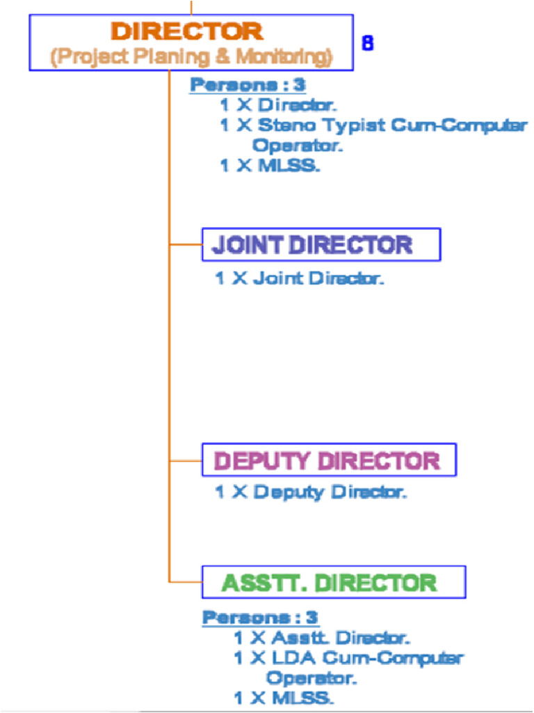 Organogram PPM | PDF
