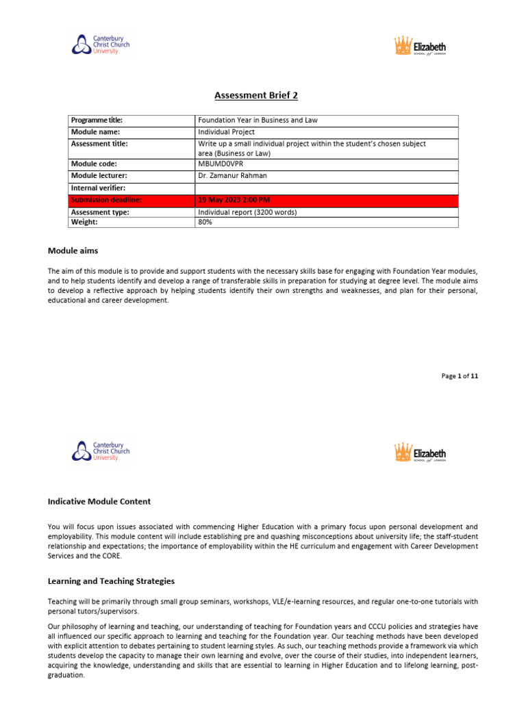 Assessment Brief - Individual Project | PDF