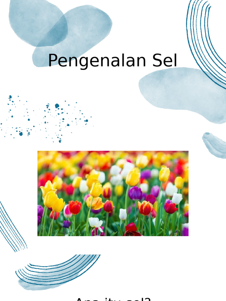 Pengenalan Sel | PDF