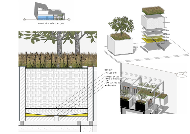 CHAU CAY LAYOUT | PDF