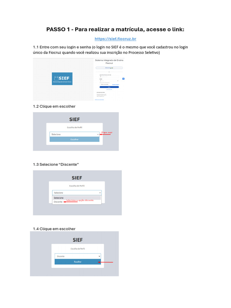 Passo a Paso Para Realizar a Matricula SIEF | PDF