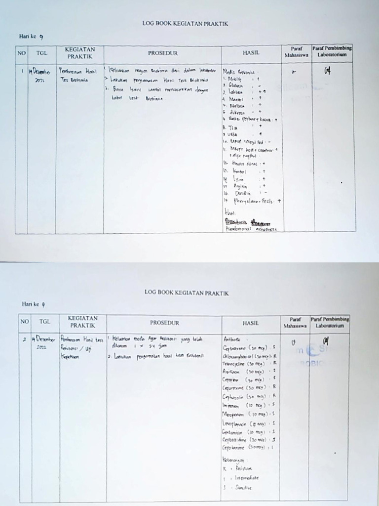 Diagnostik Bakteriologi h9 | PDF