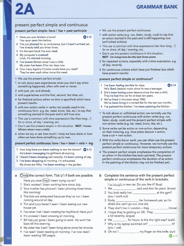Present Perfect Continuous Grammar and Practice | PDF