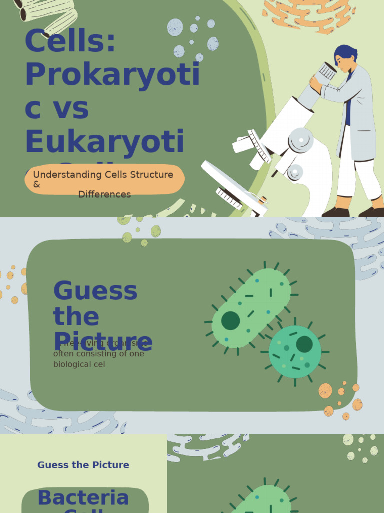 Group6 Prokaryotic Eukaryotic Cells | PDF