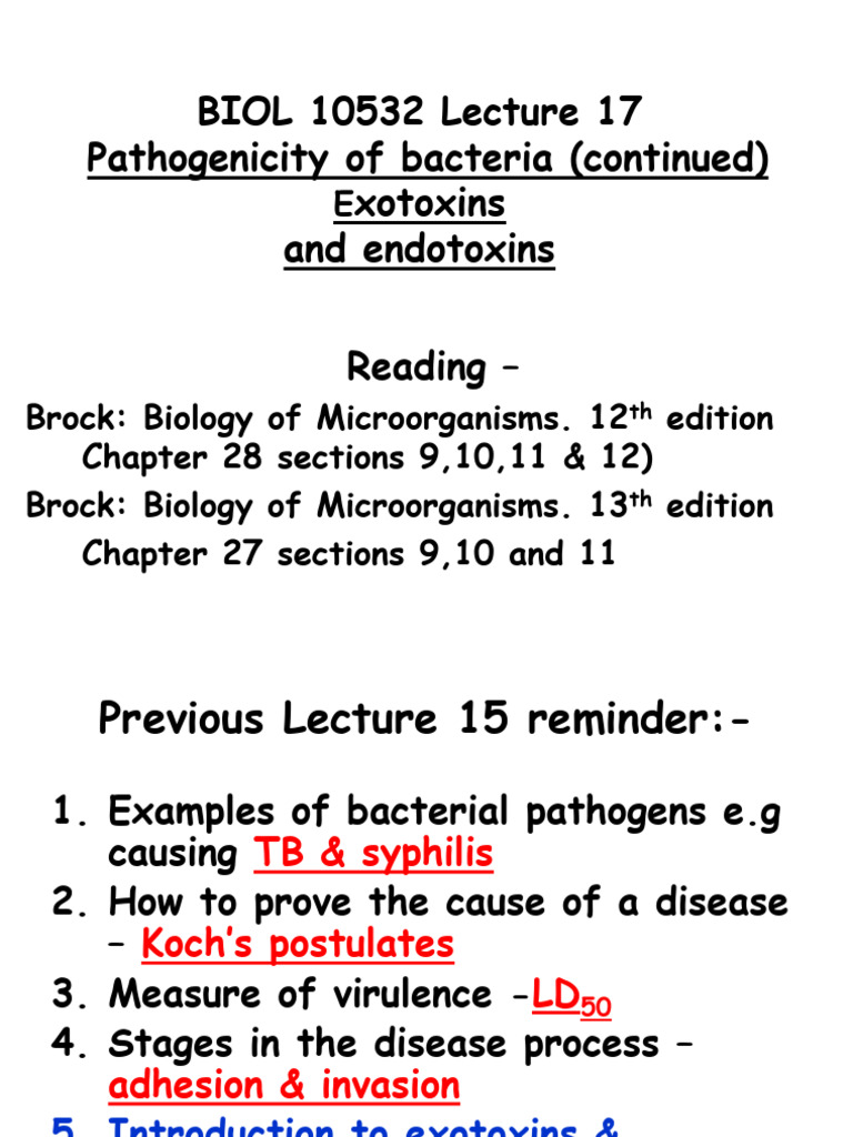 BIOL 10532 Lecture 17.ppt Exotoxins & Endotoxins | PDF