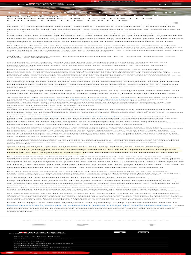 Enfermedades en Los Ojos de Los Gatos Purina® P | PDF