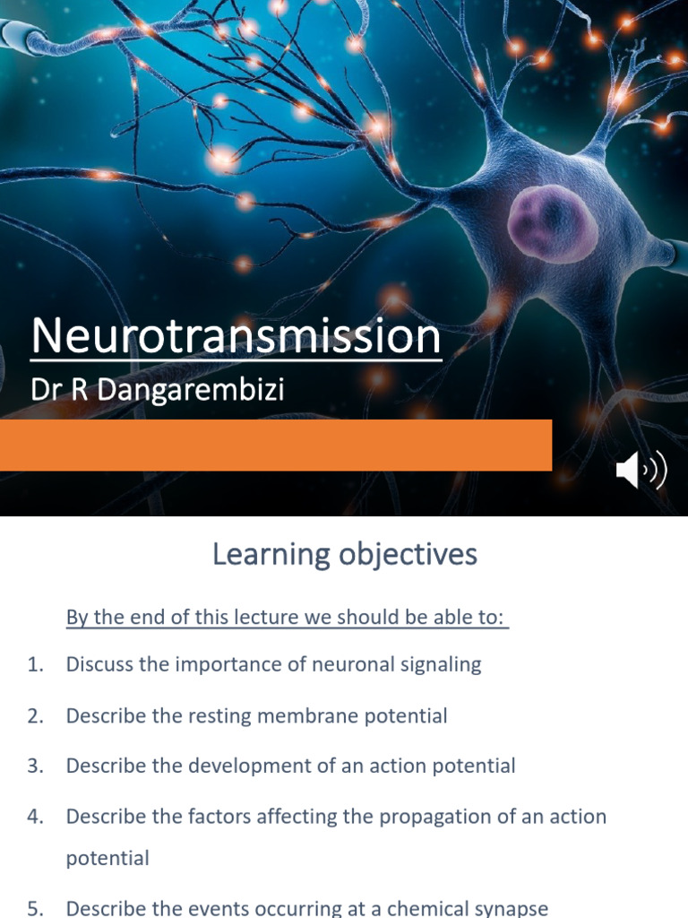Neuro Transmission | PDF