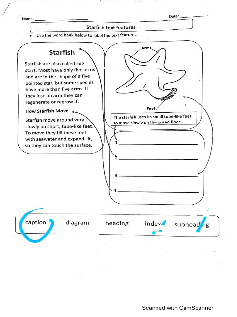 Starfish Report | PDF