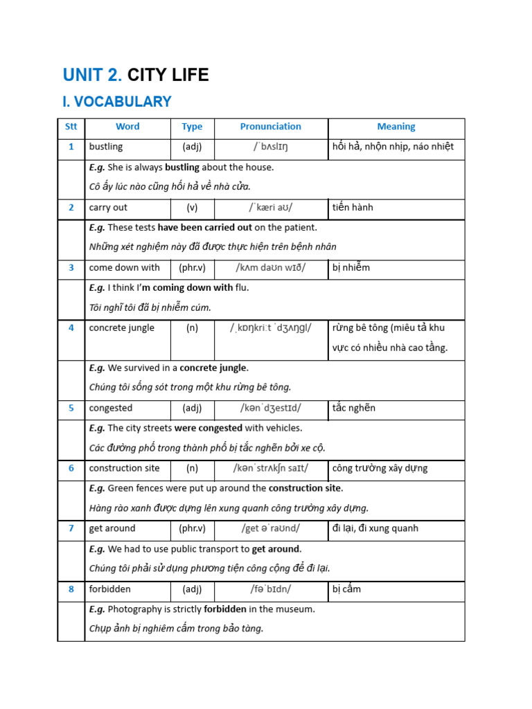 Unit 2. City Life | PDF | Traffic Congestion | Air Pollution