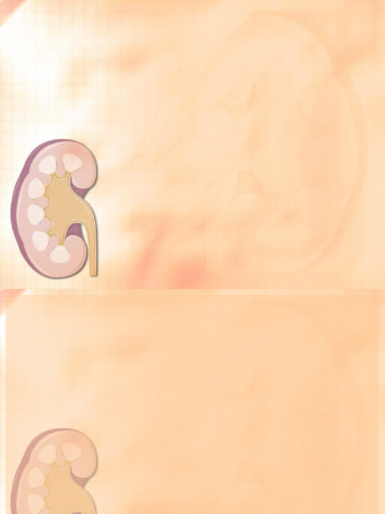Interstitial Nephritis | PDF