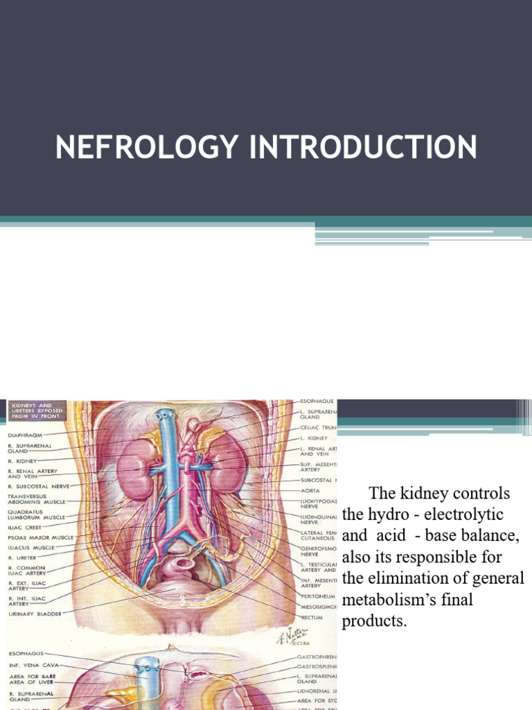 Introduction in Nephrology - 0 | PDF