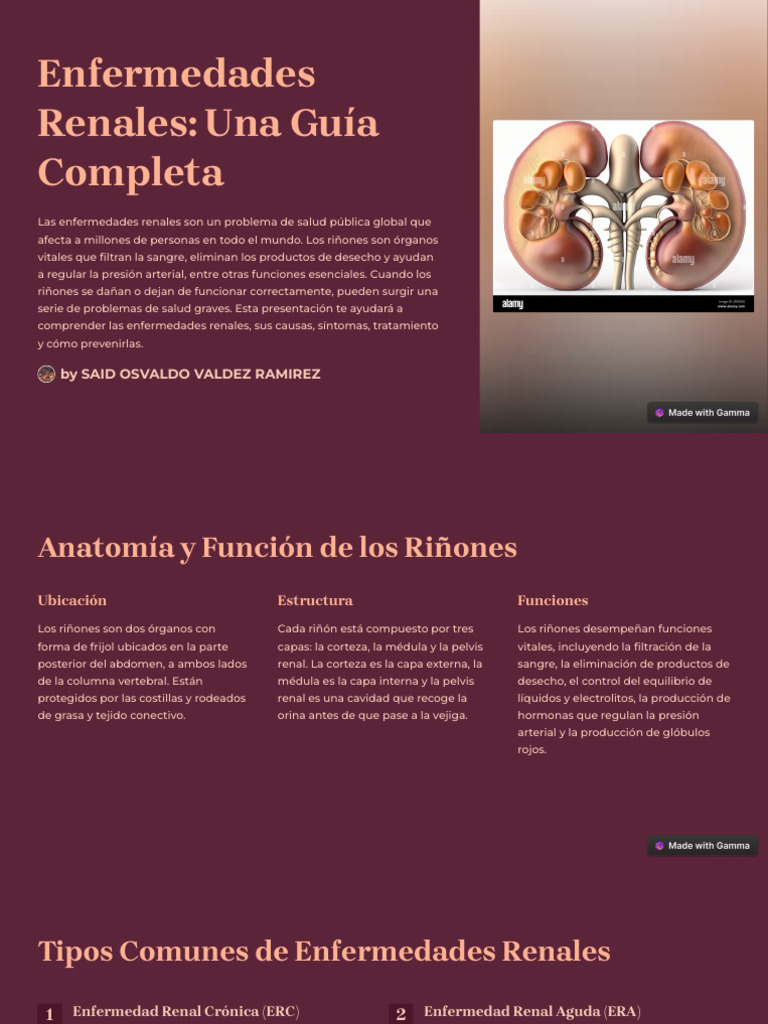 Enfermedades Renales Una Guia Completa | PDF
