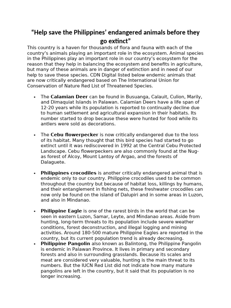 Help Save The Philippines | PDF