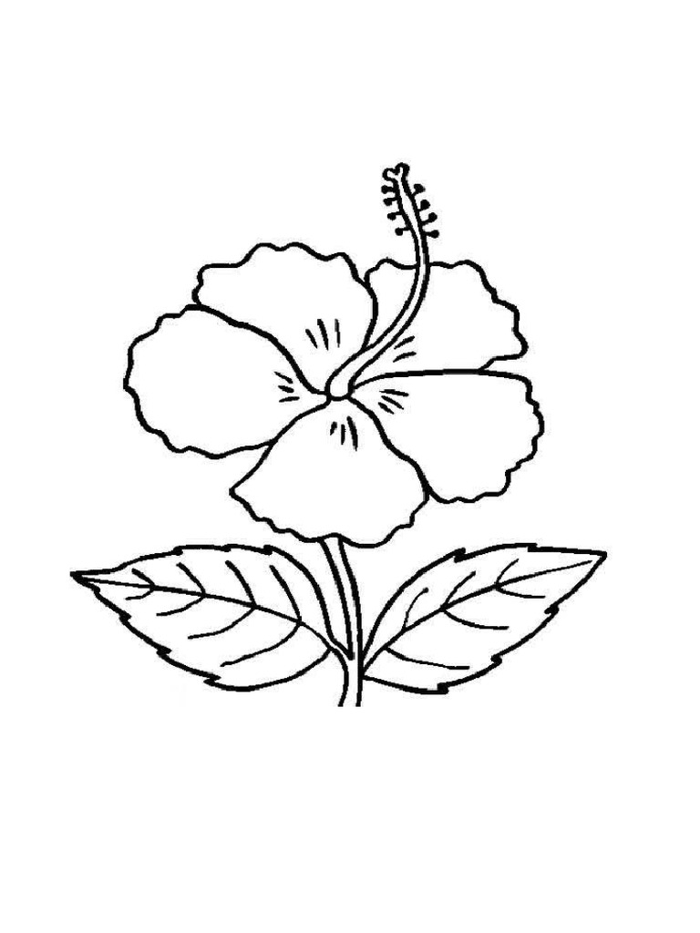 Sketsa 3 | PDF