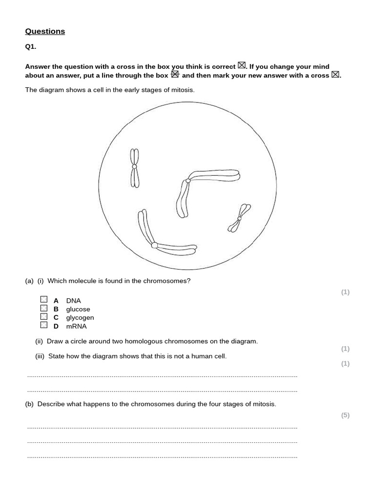 Training Paper Set 1 QP | PDF