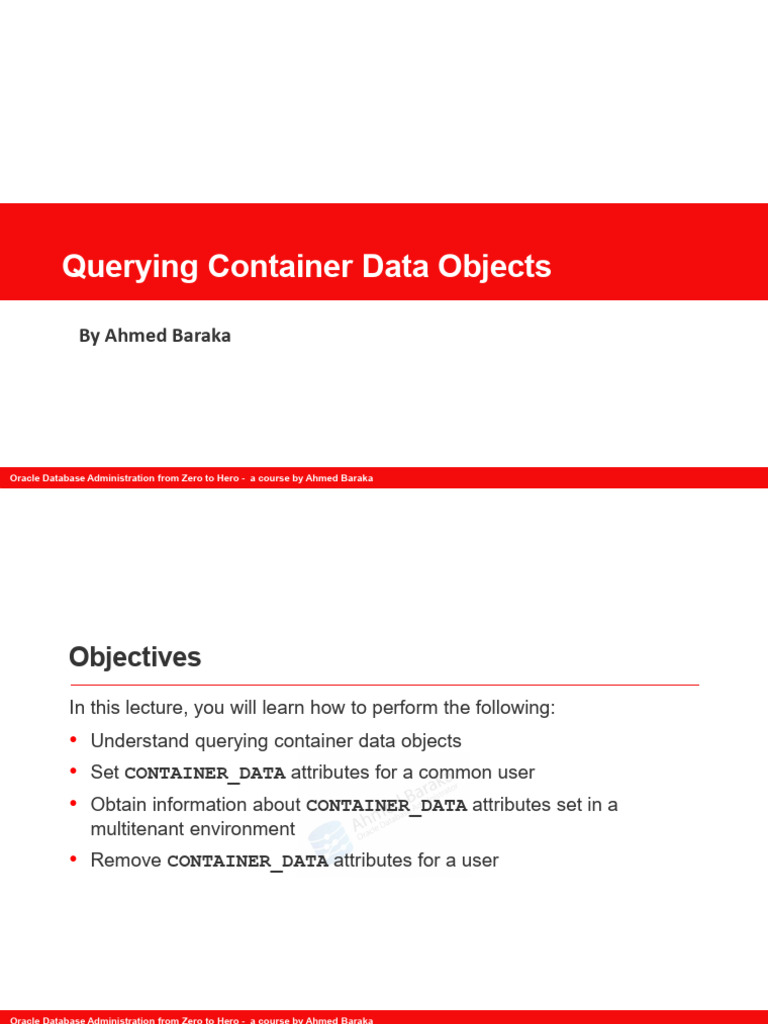 Querying Container Data Objects | PDF
