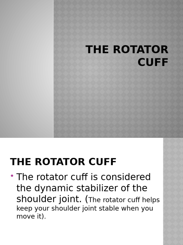 Shoulder Anatomy Lecture 2 Pdf