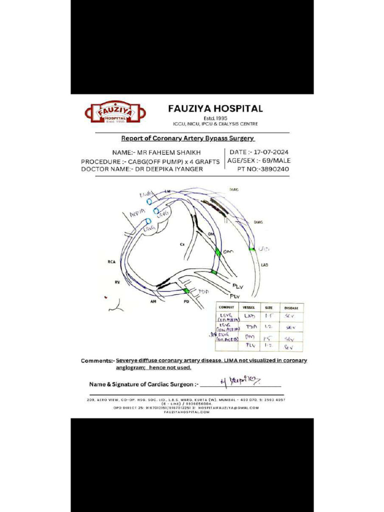 MR Faheem Shaikh | PDF