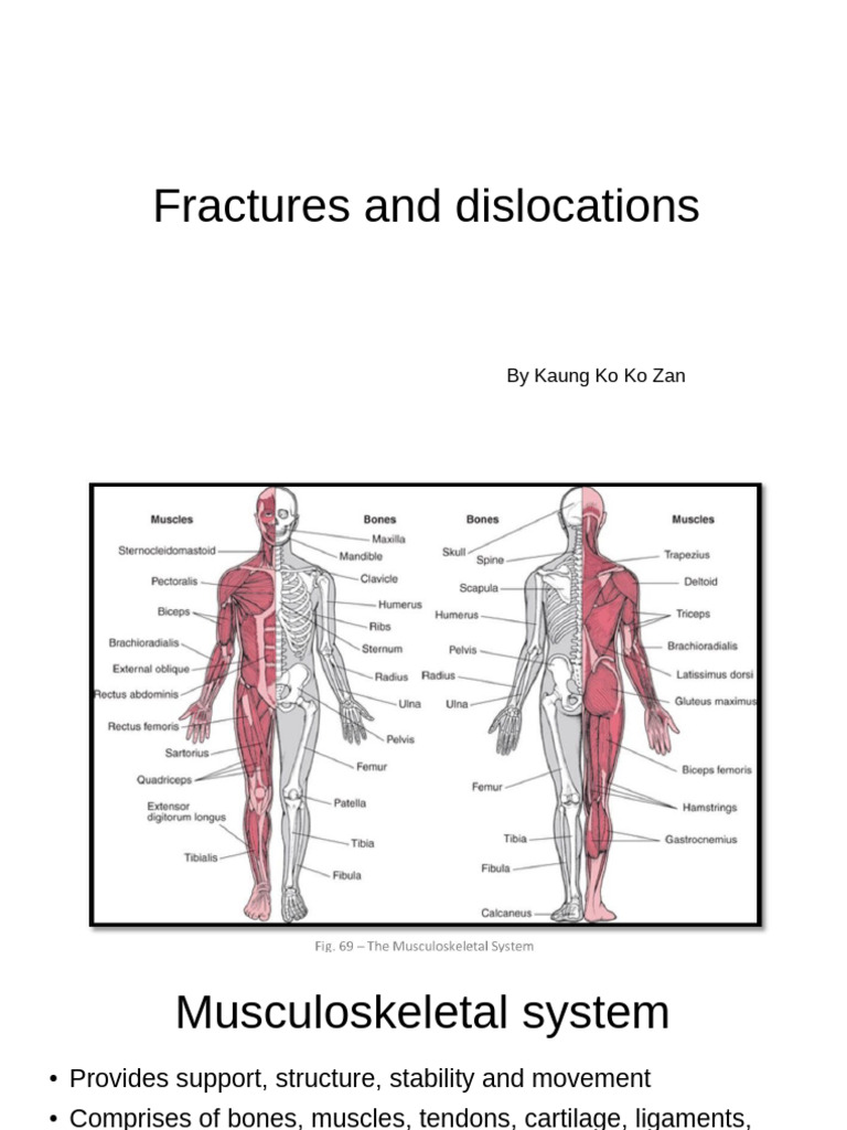 Fractures and Dislocations PDF | PDF