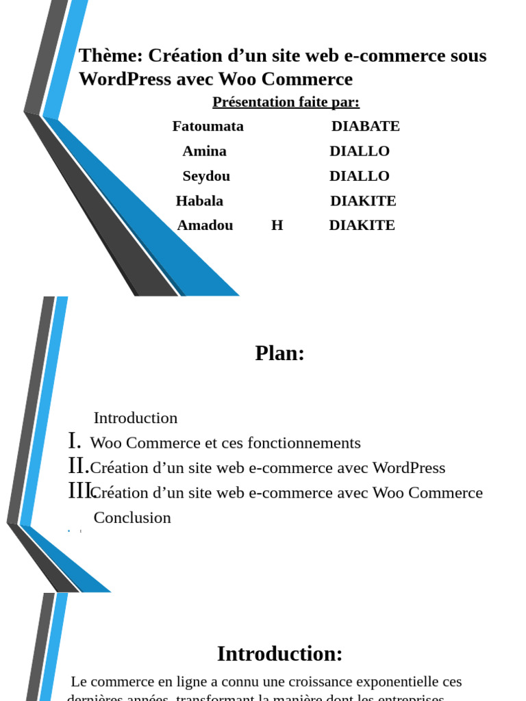 Presentation Programmation | PDF