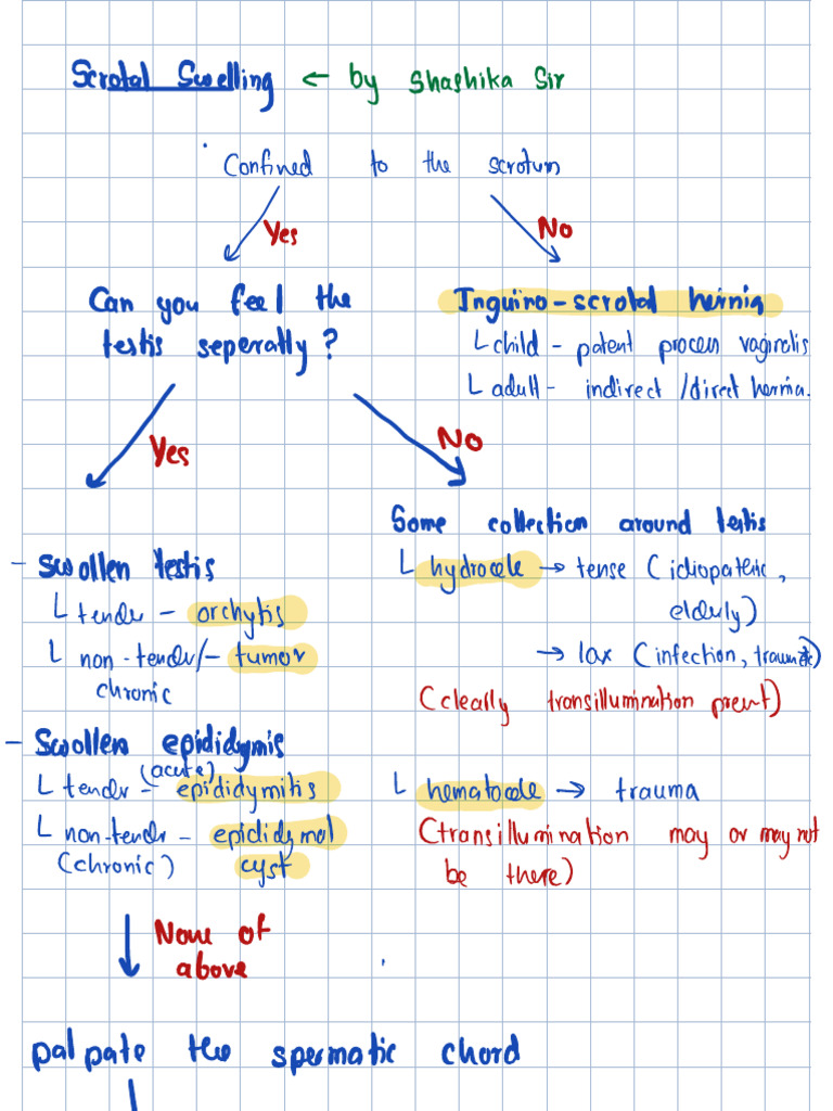 Scrotal Lump Guide- By Shashika Sir | PDF