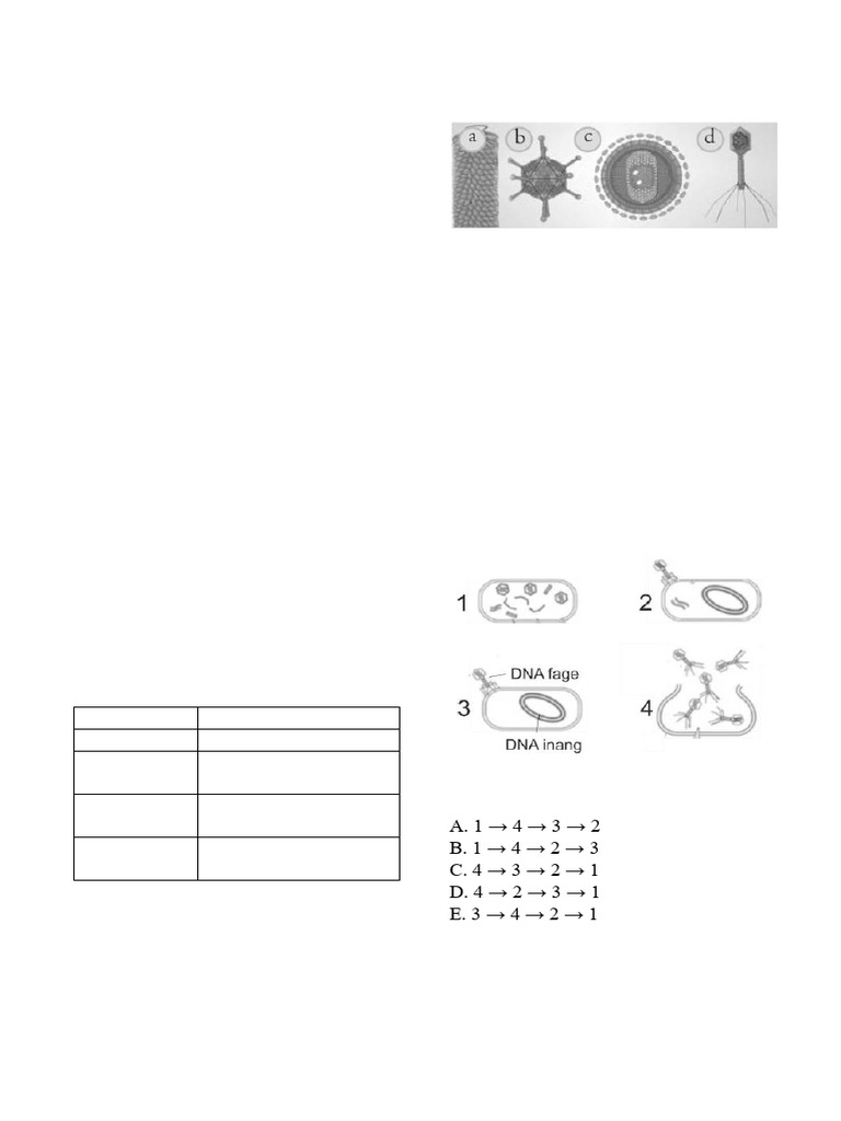 Soal Latihan 1 | PDF
