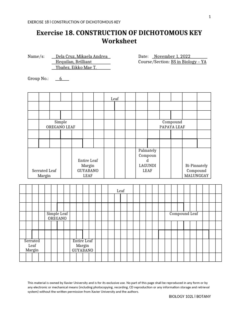 BOTANY (BIOL 102L) Exercise 18 - Construction of Dichotomous Tree | PDF
