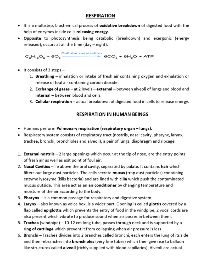 Chapter 28: Assisting Respiration | PDF | Respiratory Tract | Home & Garden