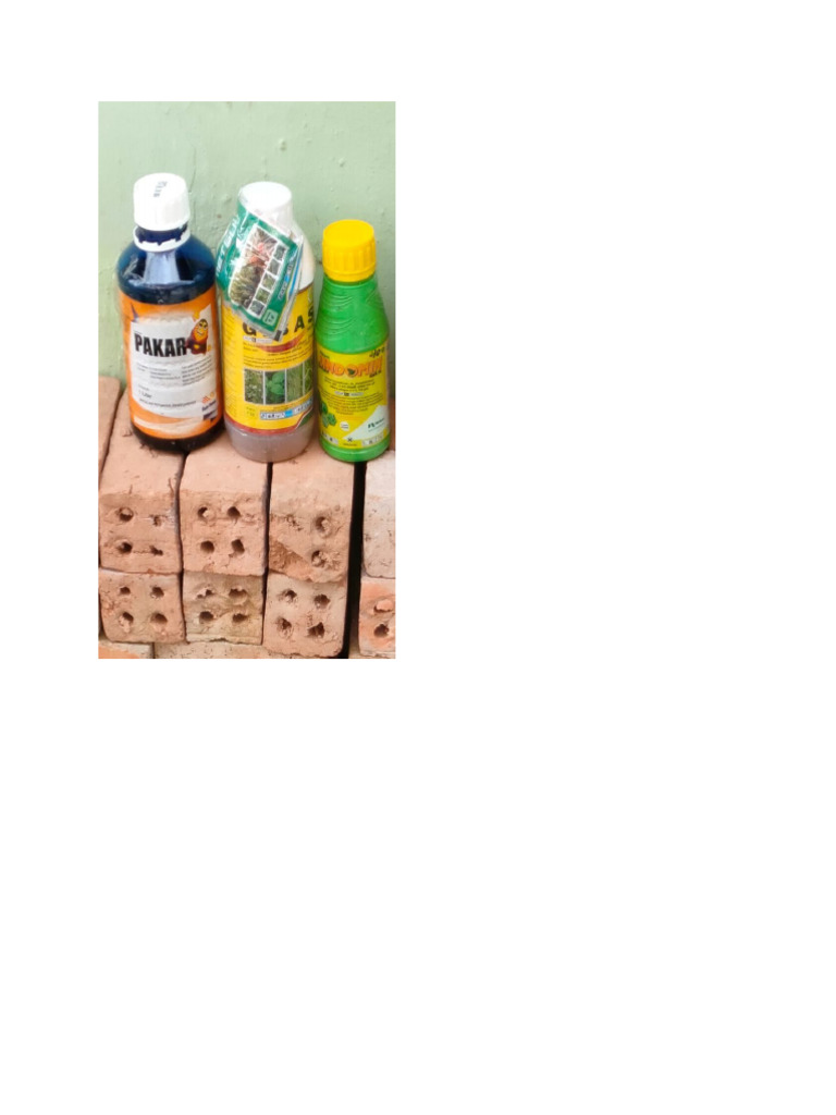 Foto Racun Rumput | PDF