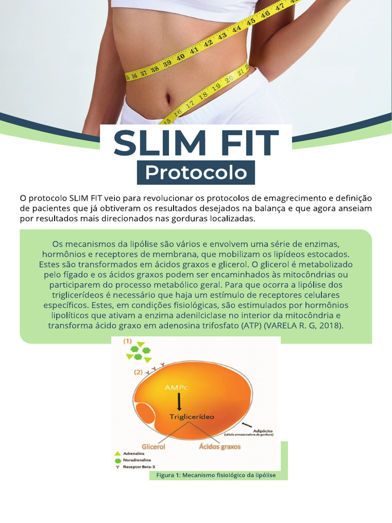 Slim Fit | PDF
