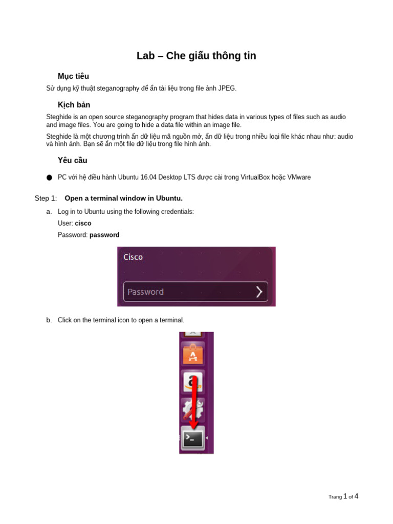 Lab - Che giấu thông tin | PDF