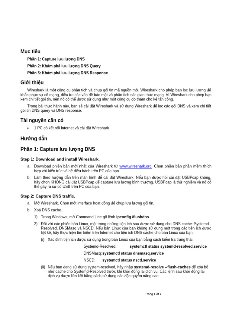 Lab - Khám phá lưu lượng truy cập DNS | PDF