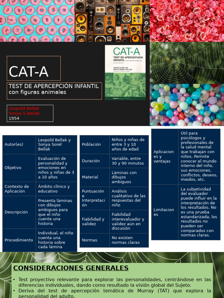 Cat A | PDF