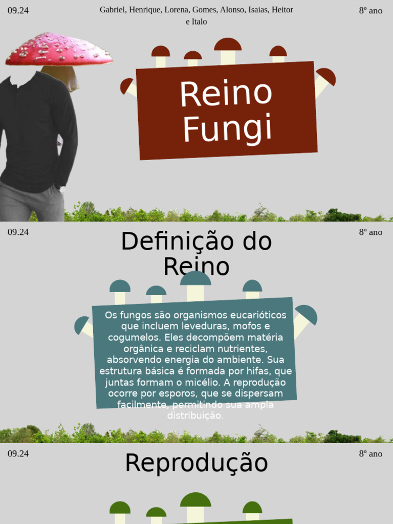 Reino Fungi_20240918_215404_0000 | PDF